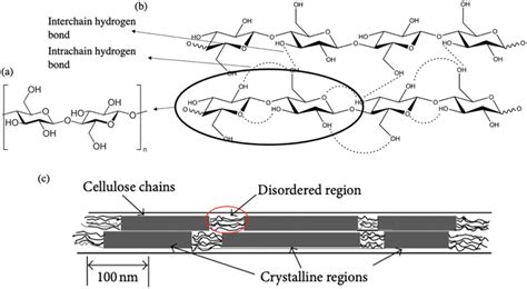 A Cellulose Structure Reproduced With Permission [²⁷⁷] Copyright
