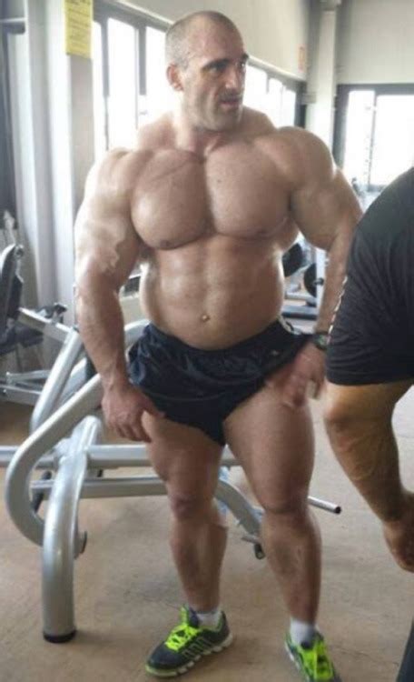 Follow Freak Muscle Roid Gods More Than Tumbex