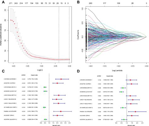 Construction Of The Irlncrna Signature A Partial Likelihood Deviance