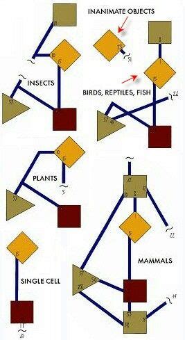 Pin By On Human Design Human Design System Human Design Human