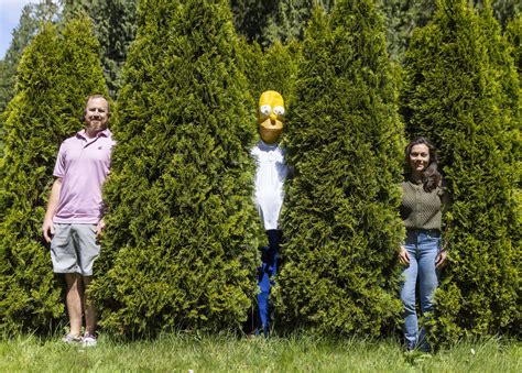 The Simpsons Fans Bring Homers Best Meme To The Real World
