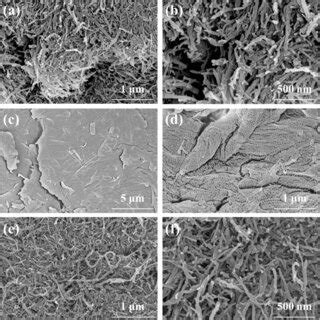 CV Curves And Fitting Relationship Of CV Peak Current Value With V1 2 Download Scientific
