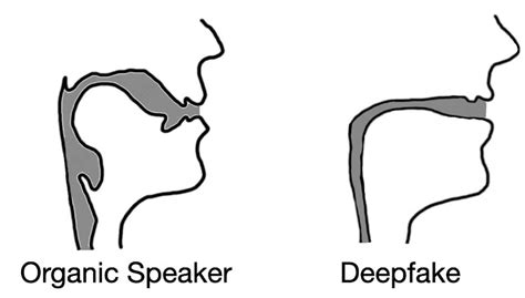 Deepfakes Detected Via Reverse Modeling Of The Vocal Tract Are
