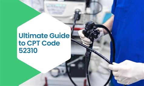 Cpt Code 58970 Description Applicable Modifier And Guidelines Cpt Code 58970 Description Applicable Modifier And Guidelines