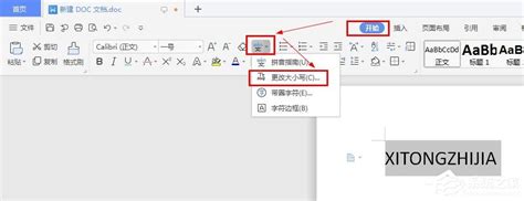 Wps里英文字母大小写怎么转换？wps里英文字母大小写转换的快捷方法 系统之家