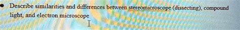 Describe Similarities And Differences Between Stereomicroscope Dissecting Compound Light And