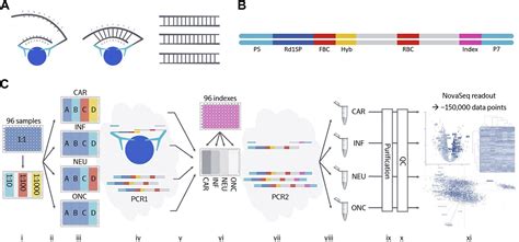 Olink Proteomics Analysis Services Mtoz Biolabs