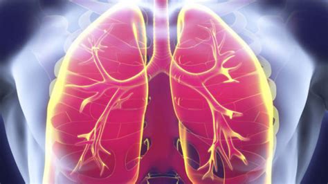 The Types Of Pneumonia Causes Symptoms And Treatment