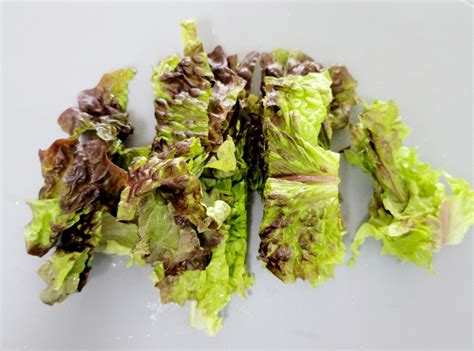 상추겉절이 맛있게 무치는 방법 양념장 황금비율 레시피 상추오이 무침 상추오이 샐러드