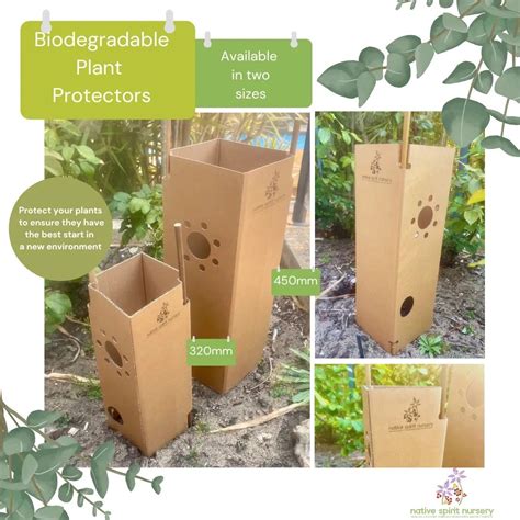 Biodegradable Plant Protectors