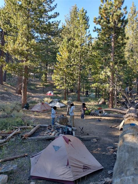 Mount Pinos Camping Pretty View Campground