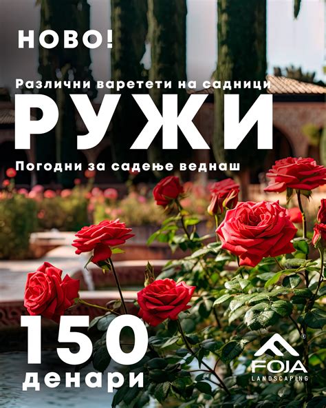 🌹 Ни пристигнаа толку многу Градинарски центар ФОЈА Facebook