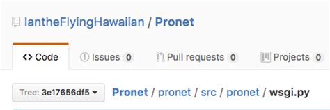 Python Django AWS Elastic Beanstalk WSGI Py Configuration Stack