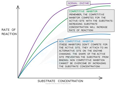 Limiting Factors Affecting Enzymes Inhibitors Aqa A Level Biology