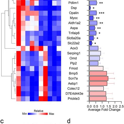Validation Of Microarray Results By Quantitative Reverse Transcription Download Scientific