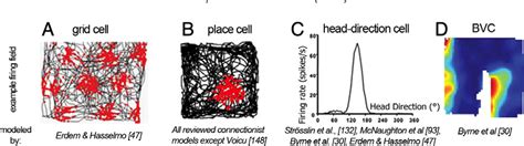 Figure 1 From Computational Cognitive Models Of Spatial Memory In
