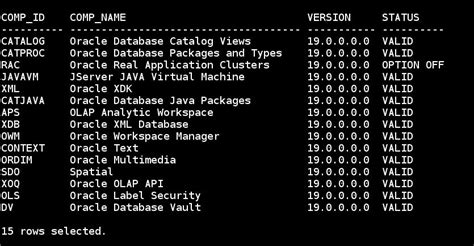 Apply Patching Oracle C Database Release Update Oracledbwr