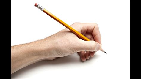 СОЛАҚАЙЛАР ТУРАЛЫ СІЗ БІЛМЕГЕН ФАКТ - YouTube