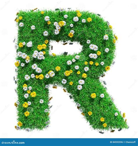 Letter R Of Green Grass And Flowers Stock Illustration Illustration Of Flower Chamomile 84592596
