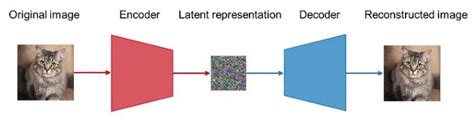 latentdiff a latent diffusion model for protein structure generation