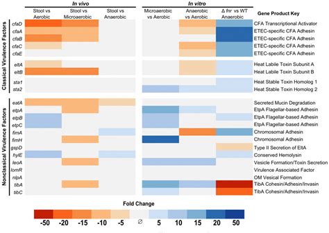 Figure 2 From Enterotoxigenic E Coli Virulence Gene Regulation In