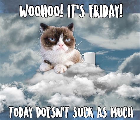 Grumpy Cat Friday Meme