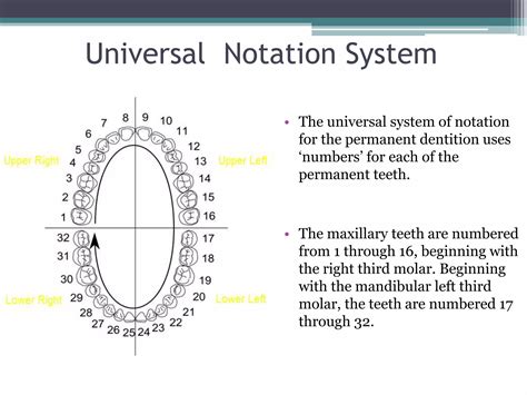 Tooth Numbering System PPTX