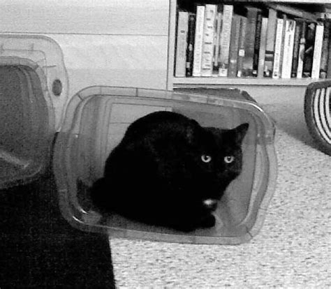 Ar Moler Stumbling Over Chaos