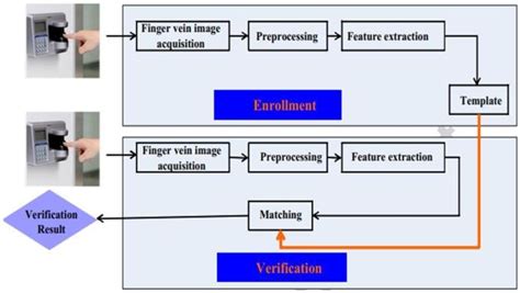 typical framework for finger vein recognition [17] download