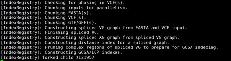 Can The Vg Software Realize The Combination Of The Graphic Pan Genome And The Vcf File Obtained
