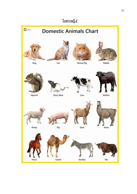 การแก้ปัญหาในชั้นเรียนโดยการสอนแบบร่วมแรงร่วมใจปีการศึกษา2562 Teacherorawan Pudmon หน้า