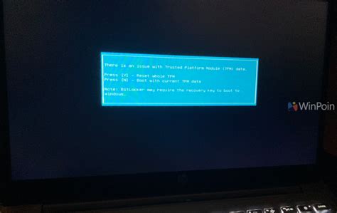 Copilot Bermasalah Pengguna Windows 10 Disarankan Tidak Upgrade Ke Windows 11 Winpoin