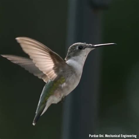 Shreyas Desai Posted On Linkedin