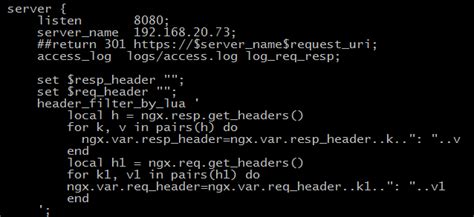 Nginx打印所有请求的头参数nginx打印请求头 Csdn博客