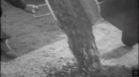 [잡담] 와 ㄷㄷ 새마을 운동당시 도로를 낸 방법 인스티즈 Instiz 일상 카테고리