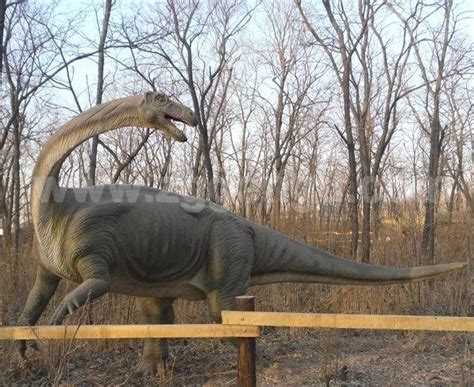 Lufengosaurus Pictures And Facts The Dinosaur Database