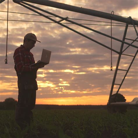 how it works checkbox