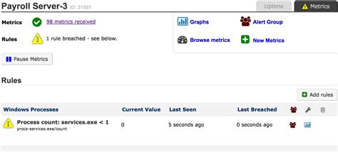 Monitoring Windows Server Processes With Bbwin • Wormly Monitoring