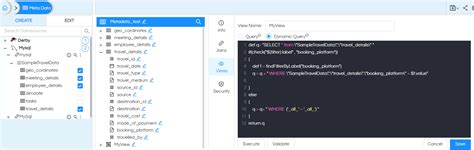 dynamic query view in metadata helical insight