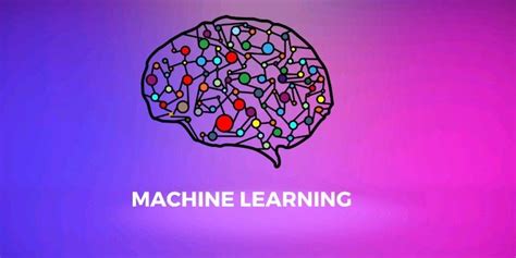 Machinelearning Algorithms Data Muhammad Tayyab