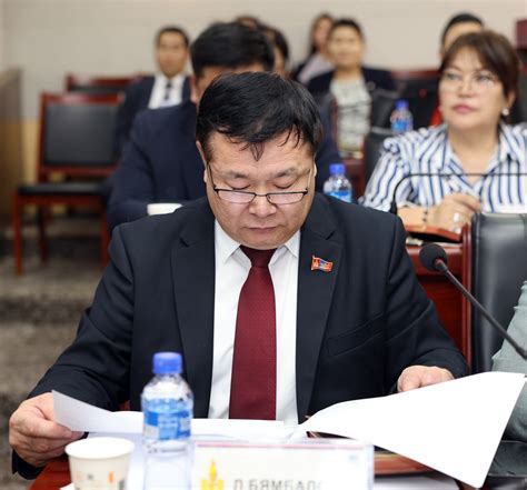 Сонг Сонгинохайрхан дүүргийн иргэдийн Төлөөлөгчдийн Хурал