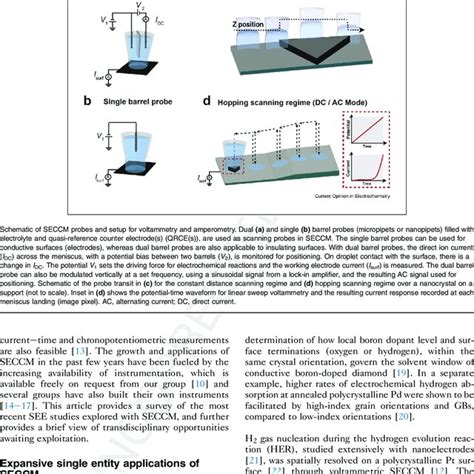 Pdf Scanning Electrochemical Cell Microscopy A Natural Technique For Single Entity