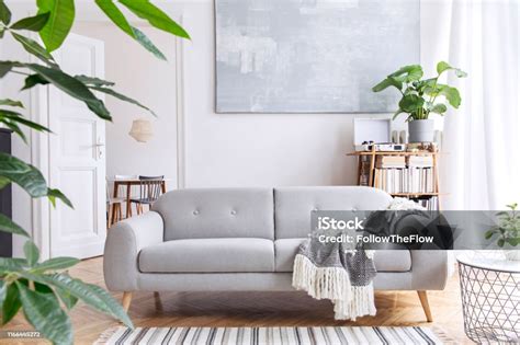 우아한 담요 커피 테이블 식물과 책받침 디자인 소파와 거실의 세련된 Scandianvian 장식 갈색 나무 마루입니다 좋은 아파트에서 미니멀 한 인테리어의 개념 거실에 대한