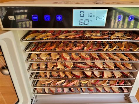 Сушилка для овощей и фруктов Rawmid Дегидратор сушилка Modern Rmd 07 «Я абсолютно довольна