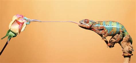 Measuring Latency Using Prometheus