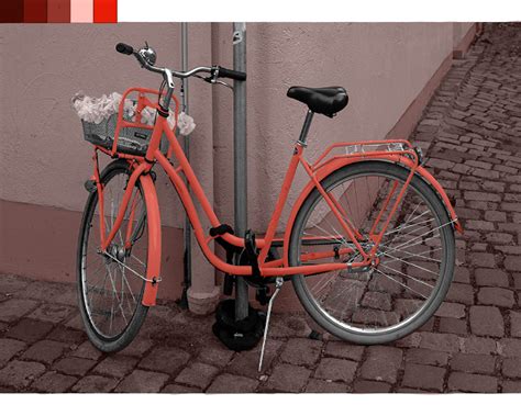 Analogous Complementary And Monochromatic Ps Edits Behance Analogous Complementary And Monochromatic Ps Edits Behance