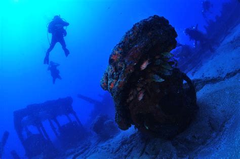 Buceando En Recife Noroeste De Brasil ~ Buceo ~