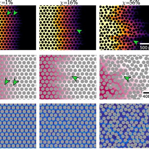 Dispersion Dynamics Differ Qualitatively With Disorder A Visualisation
