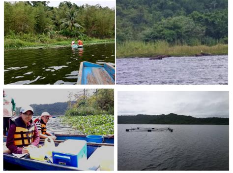 3 Lake Bito Environs Clockwise From Top Left Sampling Site Far From Download Scientific