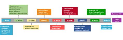 Visit Timeline Nick Kametas Md Frcog